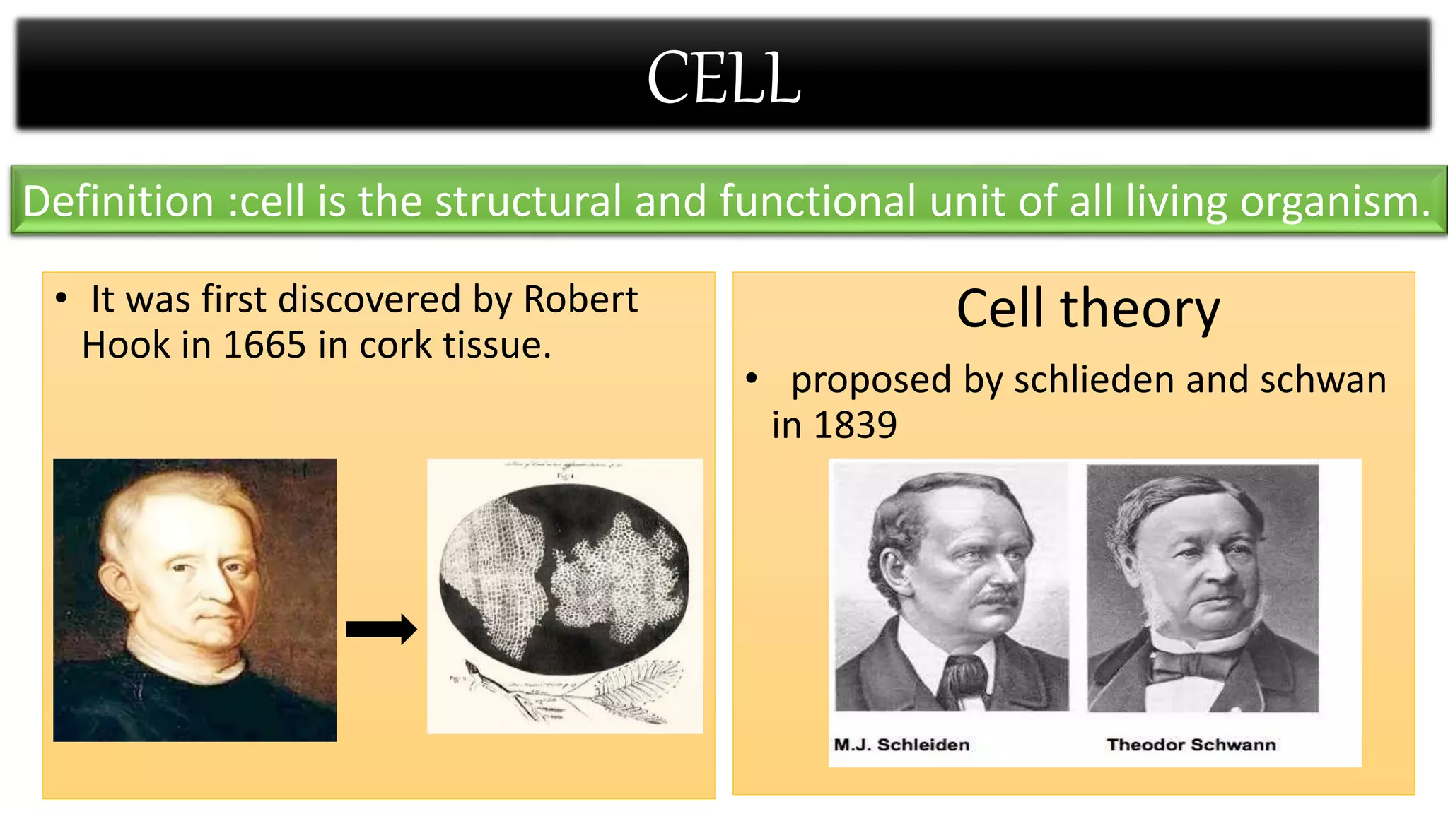 cell structure and function | PPT