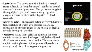 cell structure and function | PPTX