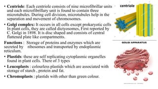 cell structure and function | PPTX