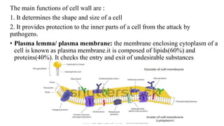 cell structure and function | PPT