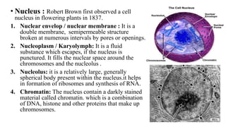 cell structure and function | PPTX