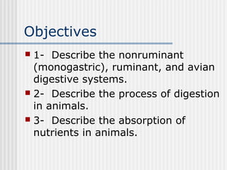 Non Ruminant Stomach