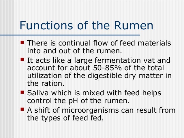 Dm ch. 2 digestive sys a