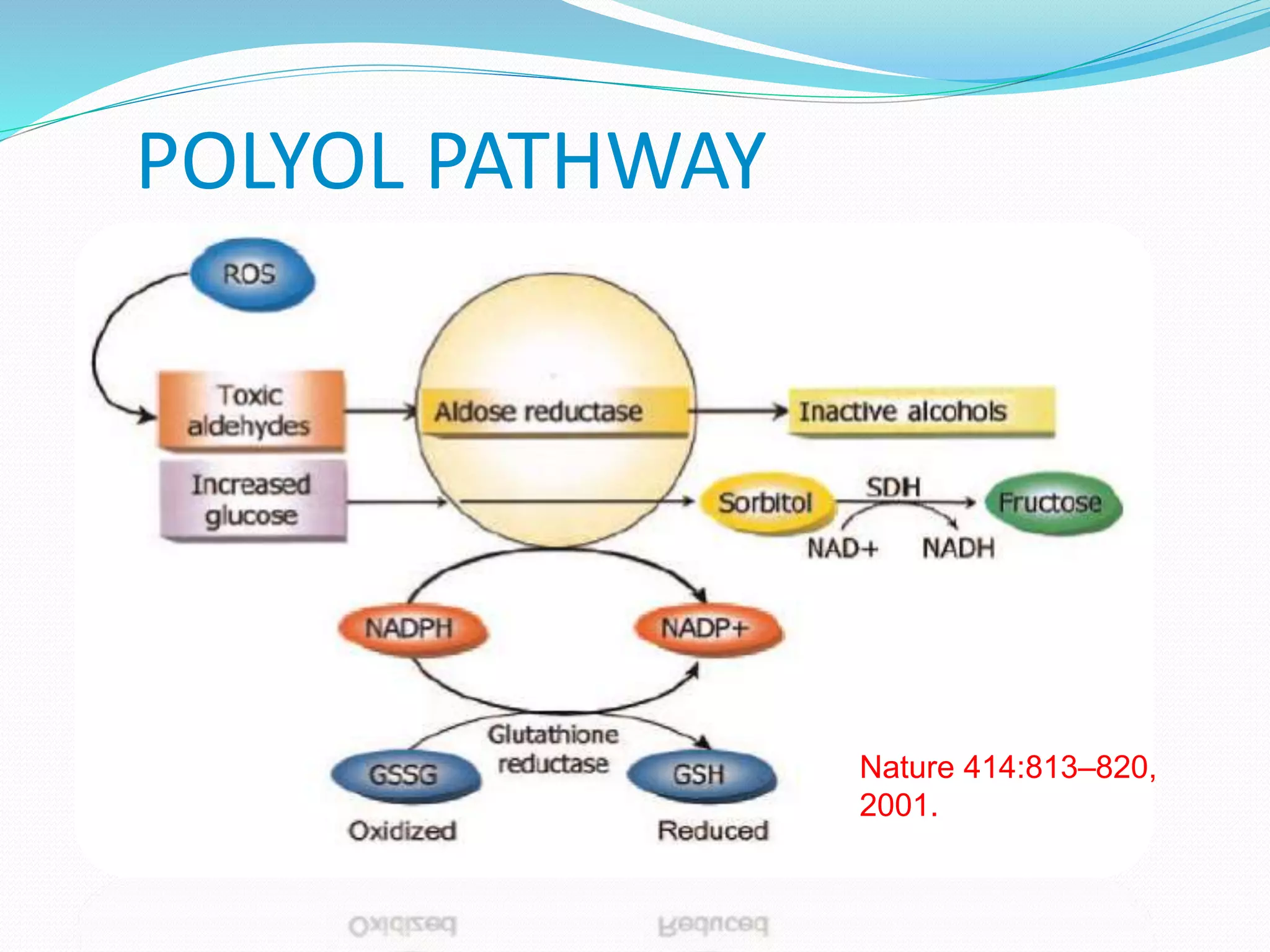 Acute and chronic complications of DM | PPTX