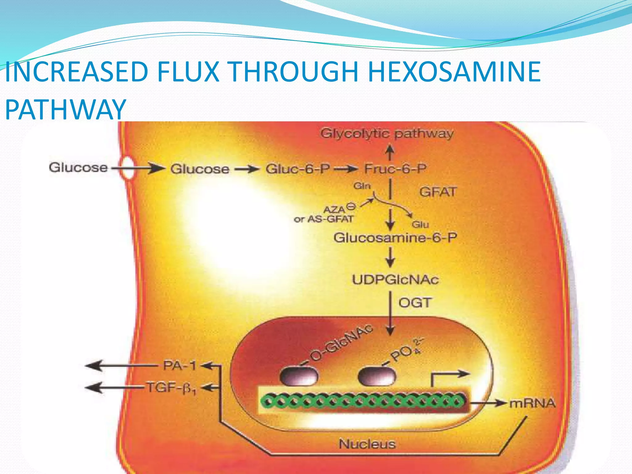 Acute and chronic complications of DM | PPTX