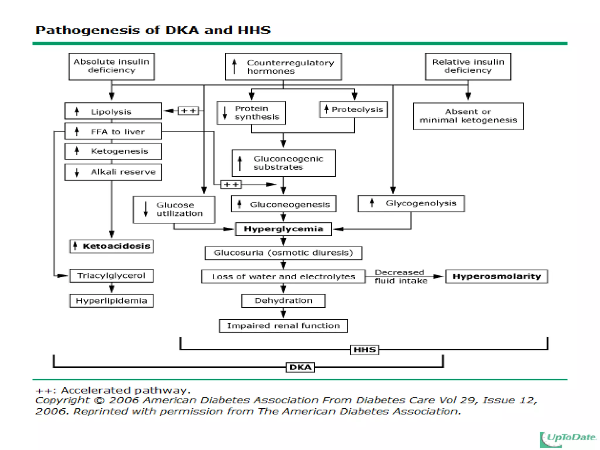 Acute and chronic complications of DM | PPTX