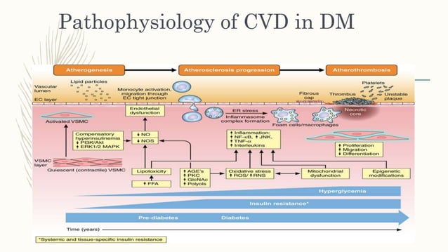 DM & CVD, the double trouble.pptx