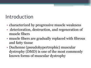 DMD.pptx