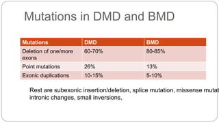 DMD and Dystrophin genetic based approach | PPTX