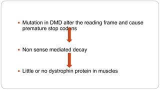 DMD and Dystrophin genetic based approach | PPTX