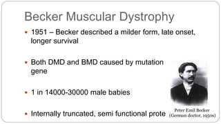 DMD and Dystrophin genetic based approach | PPTX