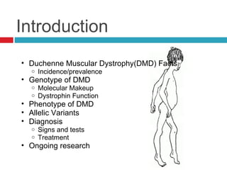 Duchenne Muscular Distrophy | PPT | Physical Therapy | Wellness