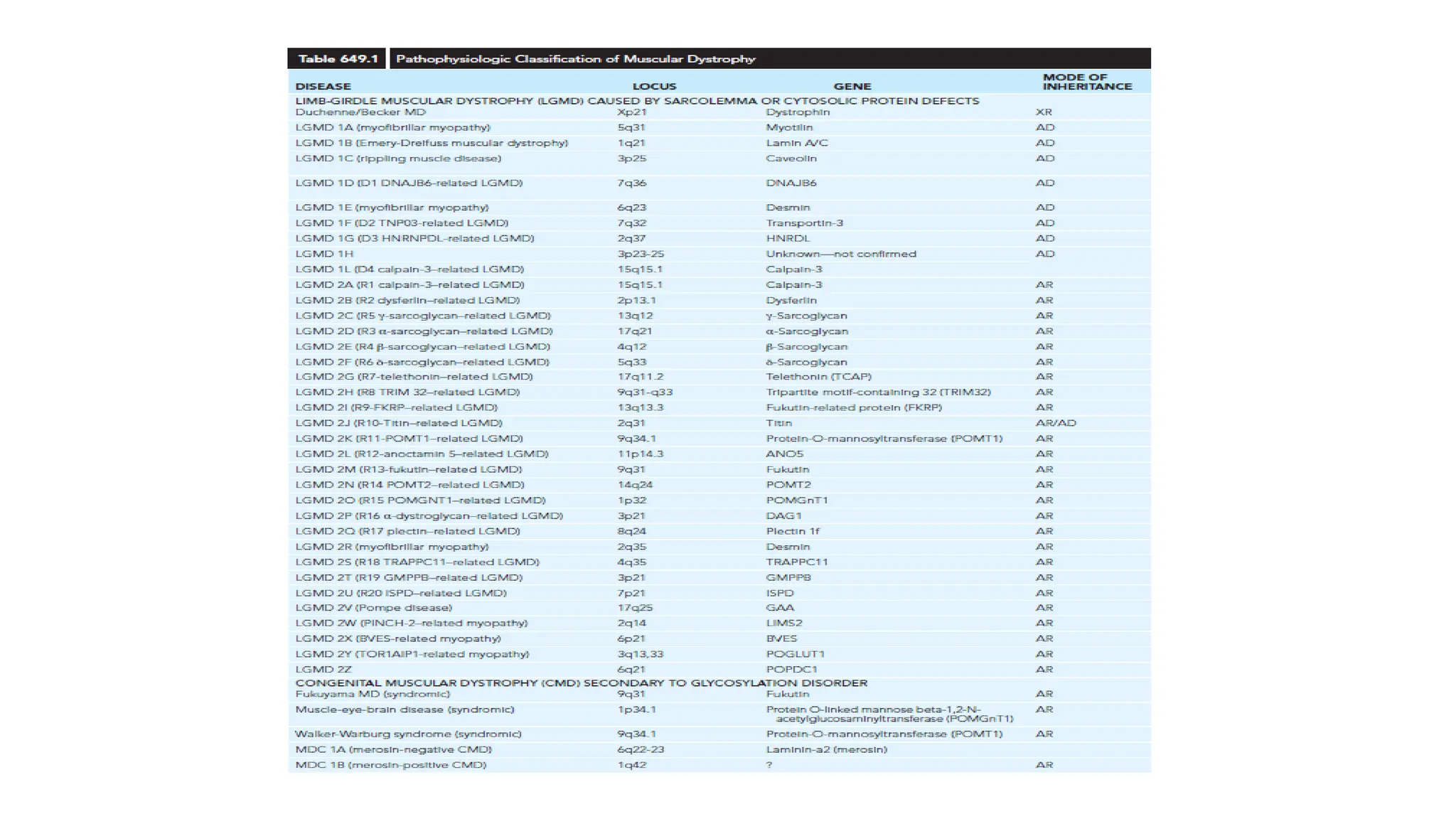 Duchenne muscular dystrophy for undergraduates.pptx