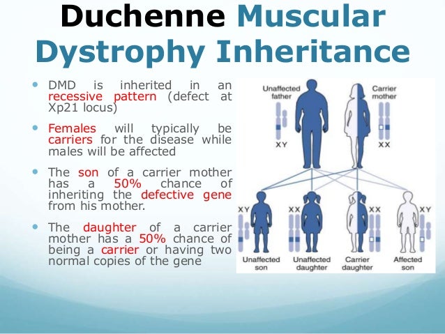 Gene therapy for muscular dystrophy