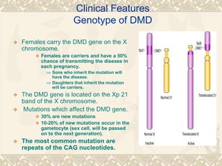 Duchenne's Muscular Dystrophy and Gene Therapy | PPTX