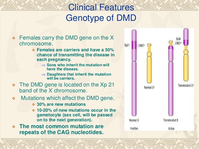 Duchenne's Muscular Dystrophy and Gene Therapy