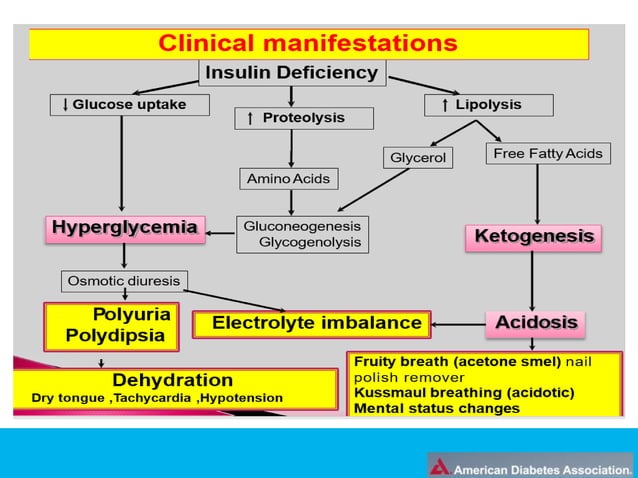 DIABETIC EMERGENCIES- DKA / HONK / HYPOGLYCEMIA | PPTX | Blood ...