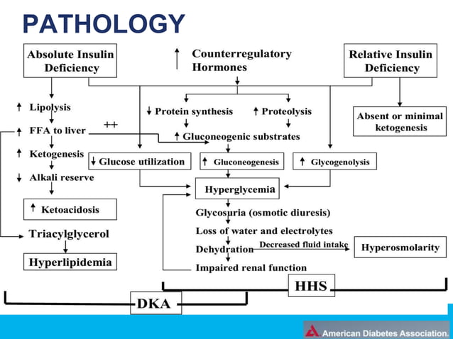 DIABETIC EMERGENCIES- DKA / HONK / HYPOGLYCEMIA | PPTX | Blood ...