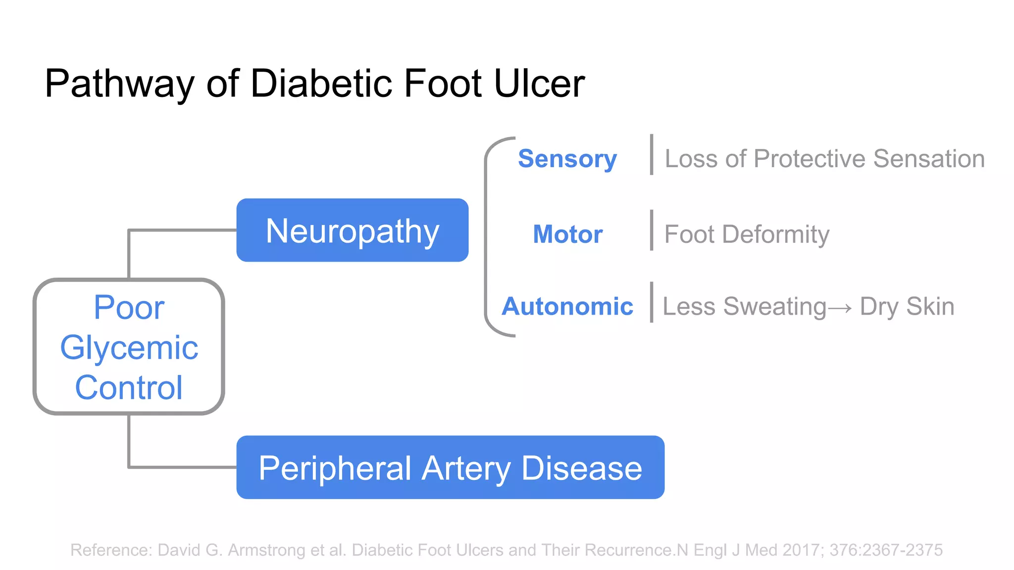 Diabetic Foot, Causes, Risk Factors, and Clinical Evaluation | PDF