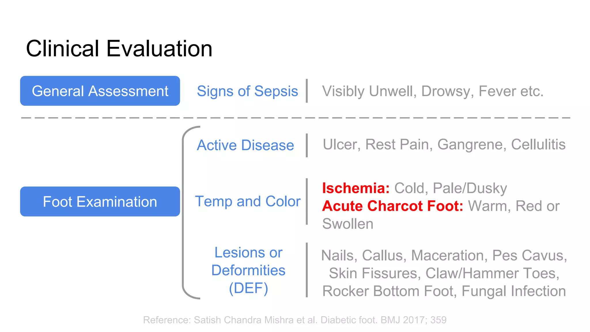 Diabetic Foot, Causes, Risk Factors, and Clinical Evaluation | PDF