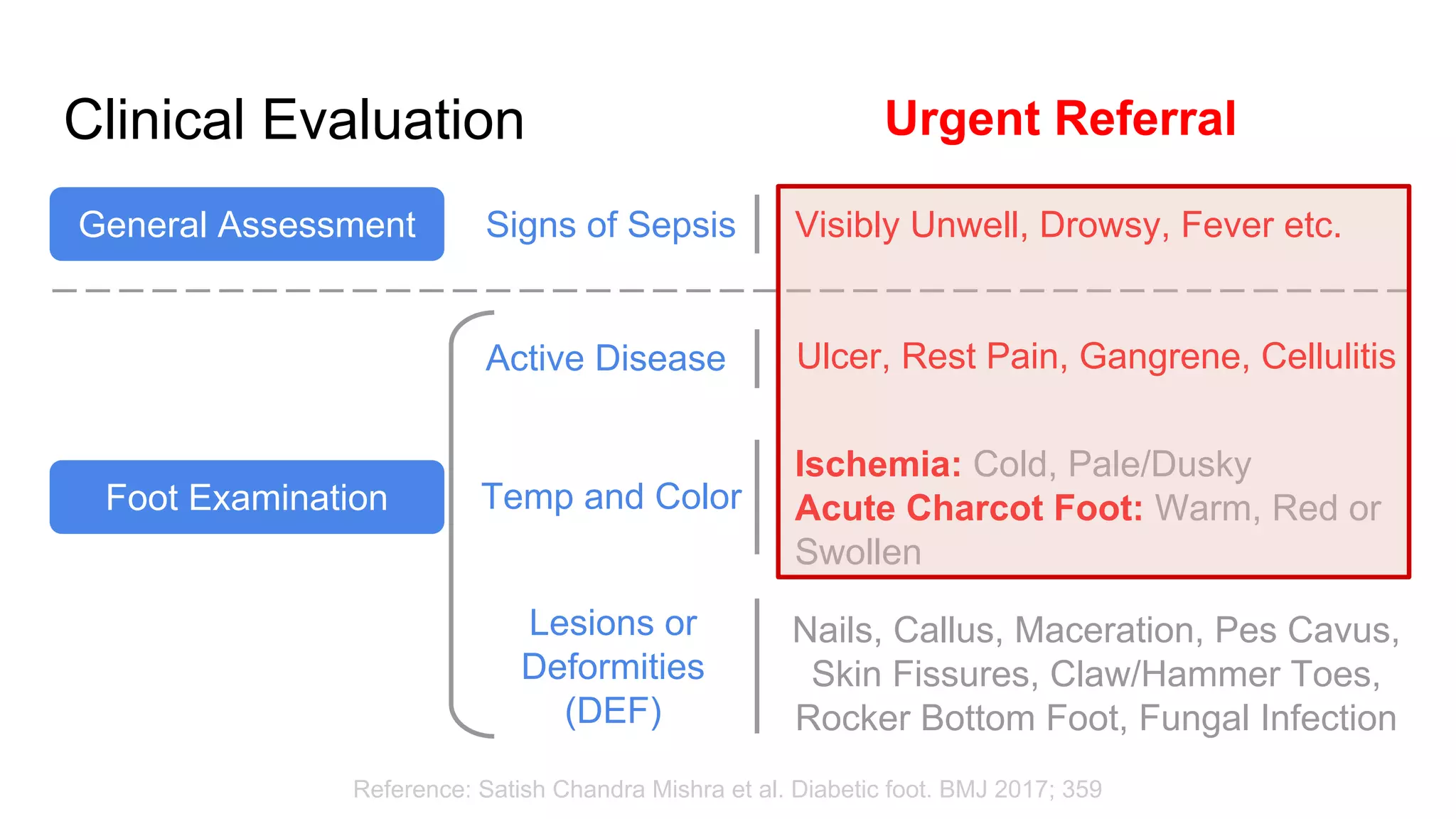 Diabetic Foot, Causes, Risk Factors, and Clinical Evaluation | PDF
