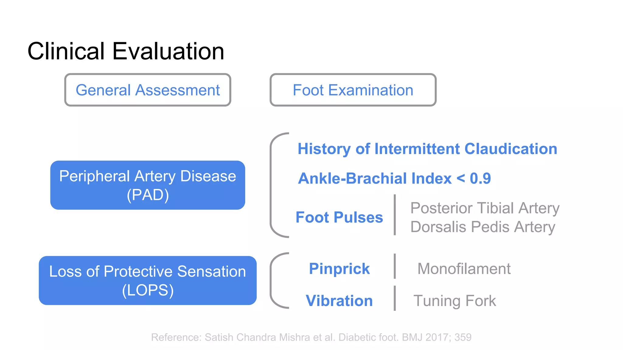 Diabetic Foot, Causes, Risk Factors, and Clinical Evaluation | PDF