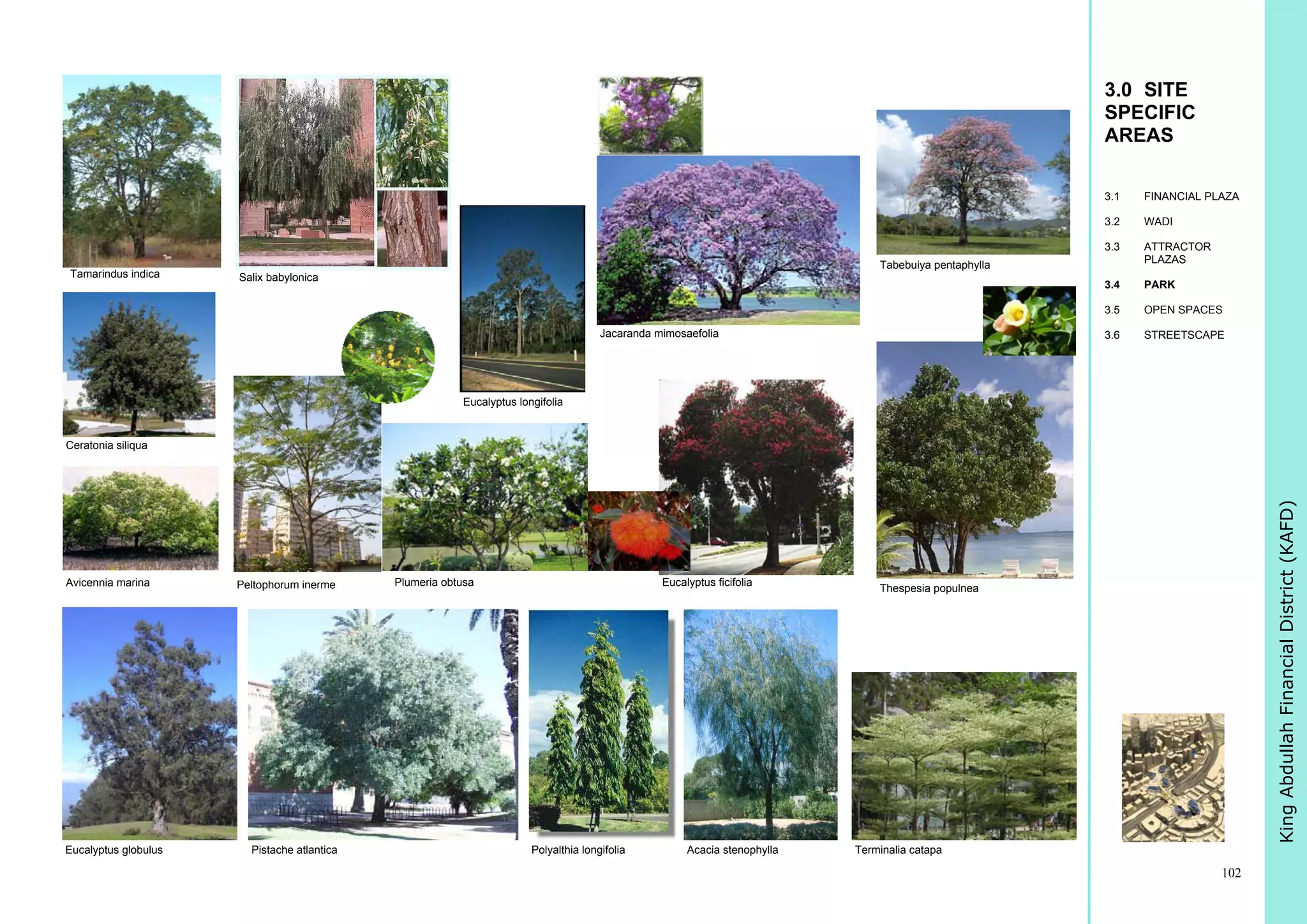 KAFD Design Manual Guidelines | PDF