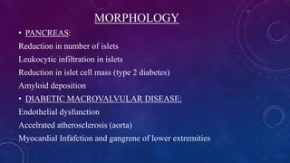DM Type 2 pathology_ Vighnesh D | PPT