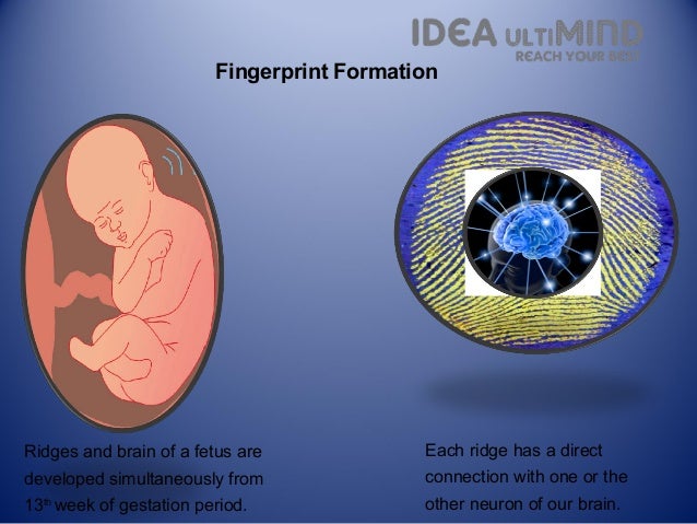 Discover Your Inborn Talent - Scientifically