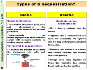Carbon Sequestration Potential of Perrenial Fruit Trees | PPT