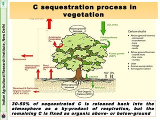 Carbon Sequestration Potential of Perrenial Fruit Trees | PPT