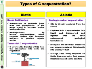 Carbon Sequestration Potential of Perrenial Fruit Trees | PPT