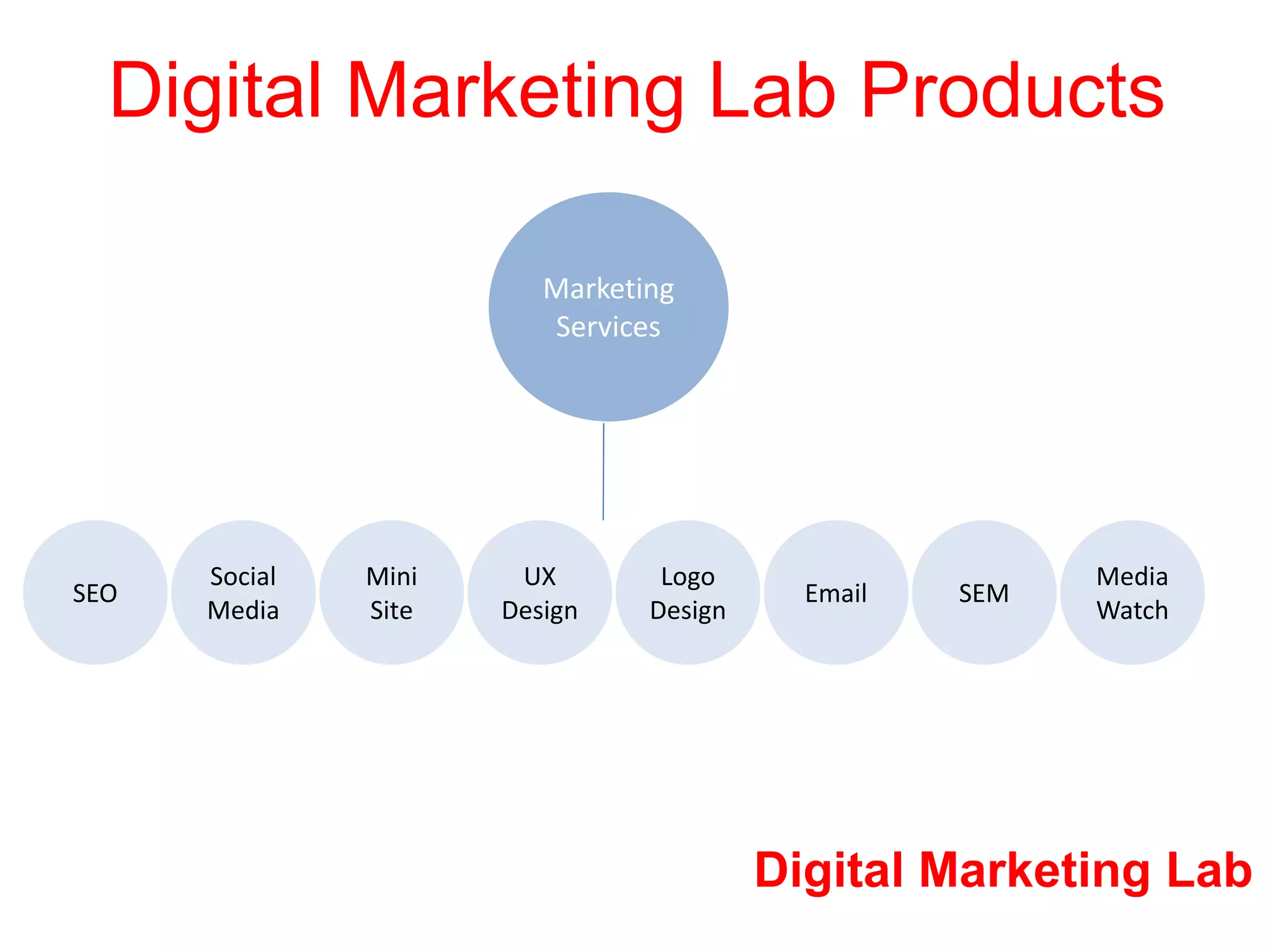Digital Marketing Lab | PDF