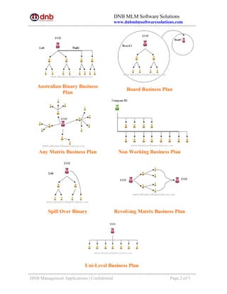 DNB MLM Software | PDF