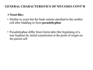 DMLS Presentation.pptx