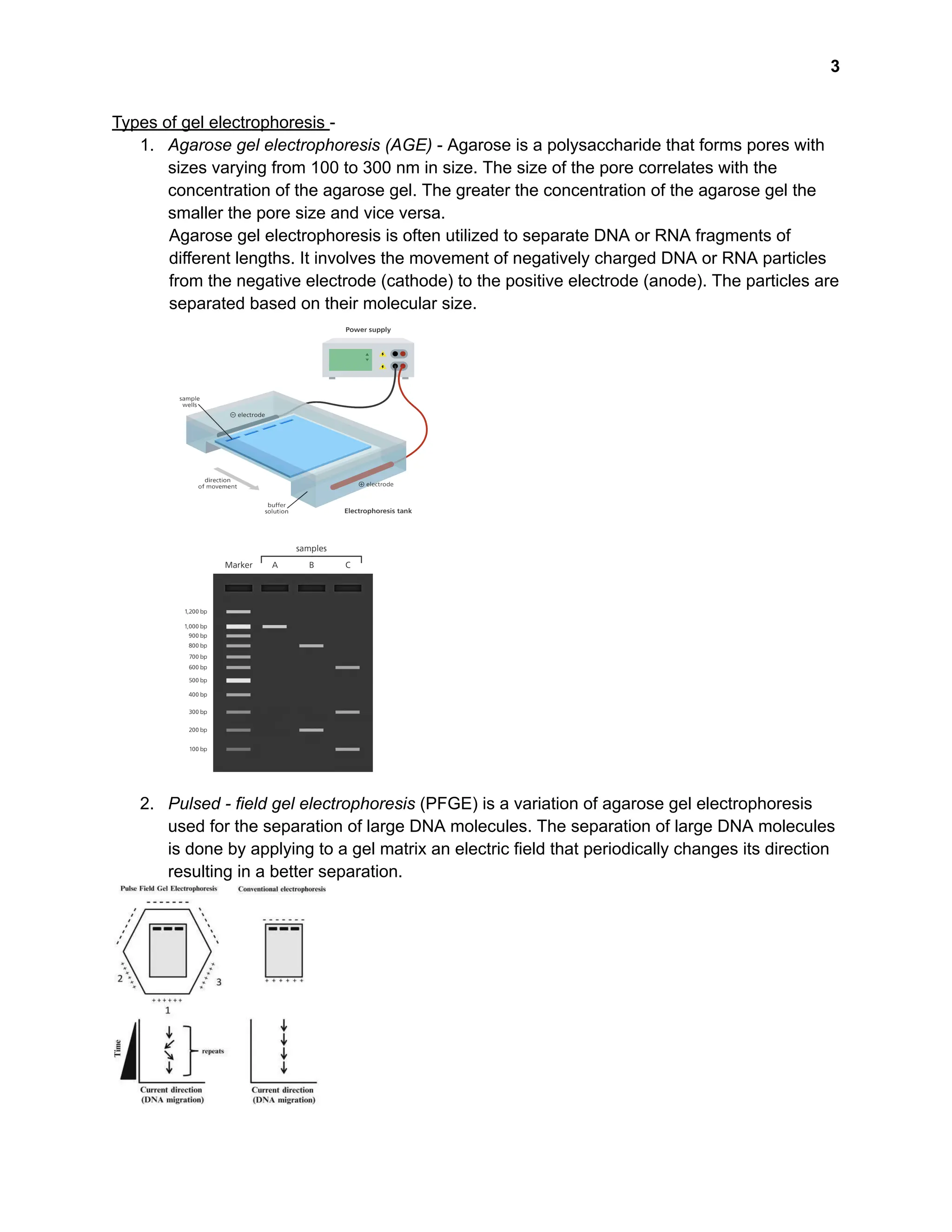 DMLT (2nd Year) : Principles of Electrophoresis - (U. P. State Medical ...