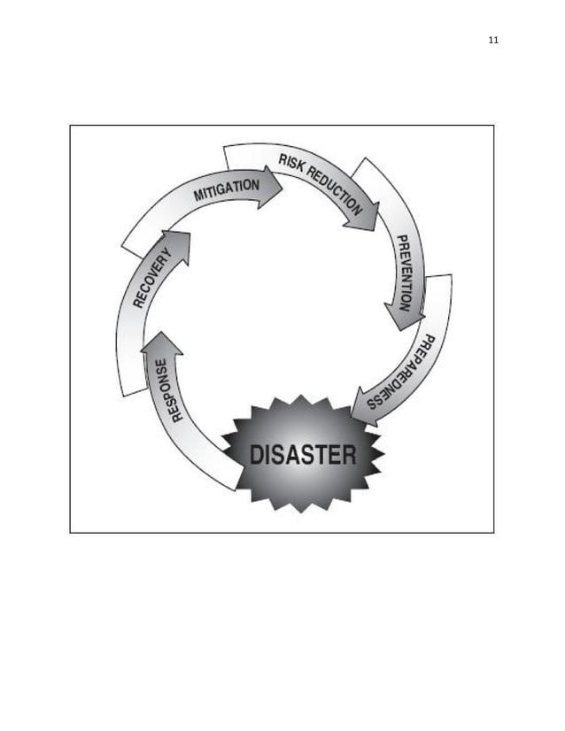 Disaster Mitigation and Management | DOC | Science