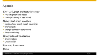 Dmm212 – Sap Hana Graph Processing | PPT