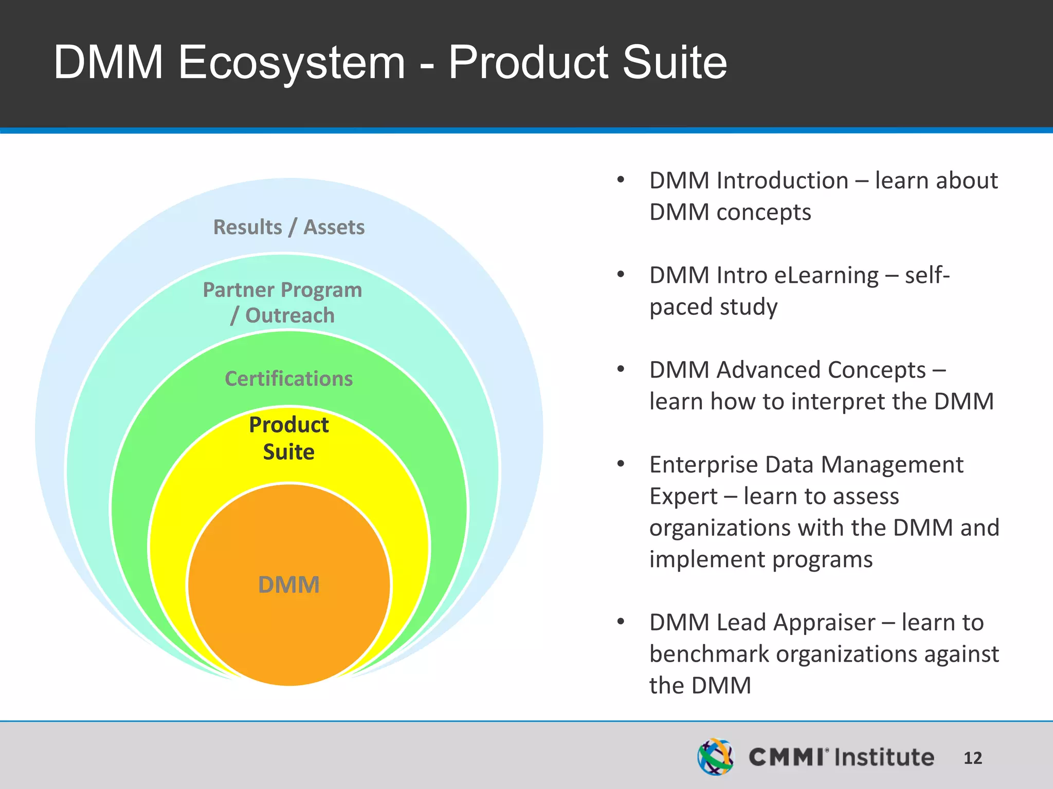 A Data Management Maturity Model Case Study | PDF