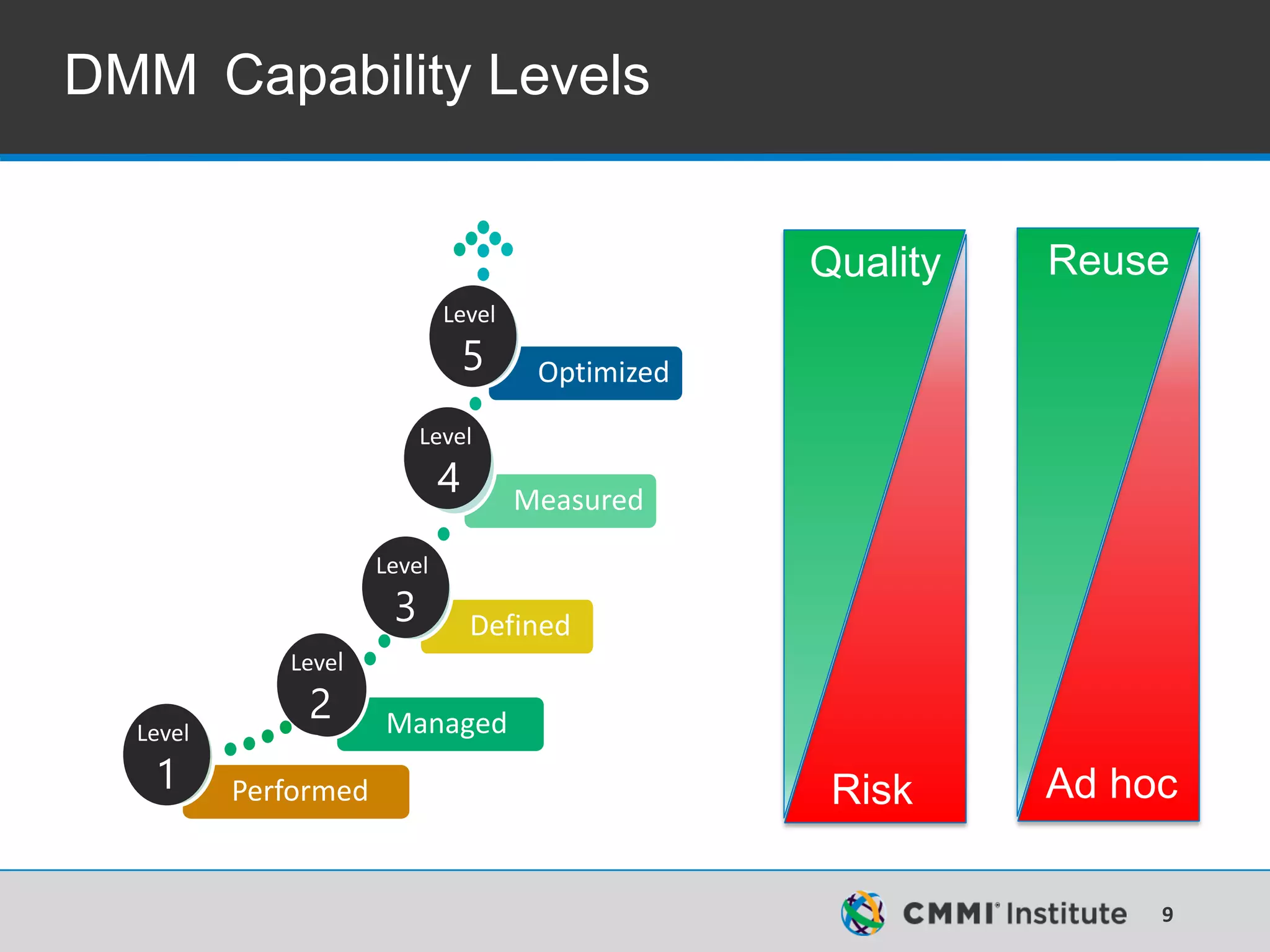 A Data Management Maturity Model Case Study | PDF