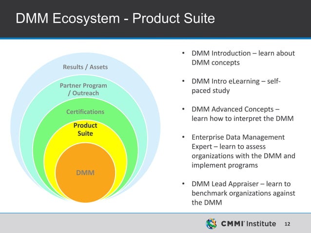 A Data Management Maturity Model Case Study | PDF