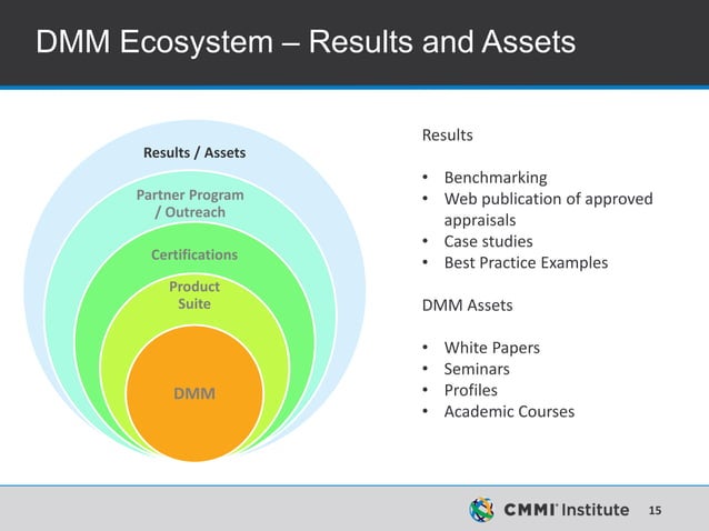 A Data Management Maturity Model Case Study | PDF