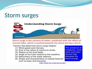 21EE753 Disaster management module -1 presentation | PPTX