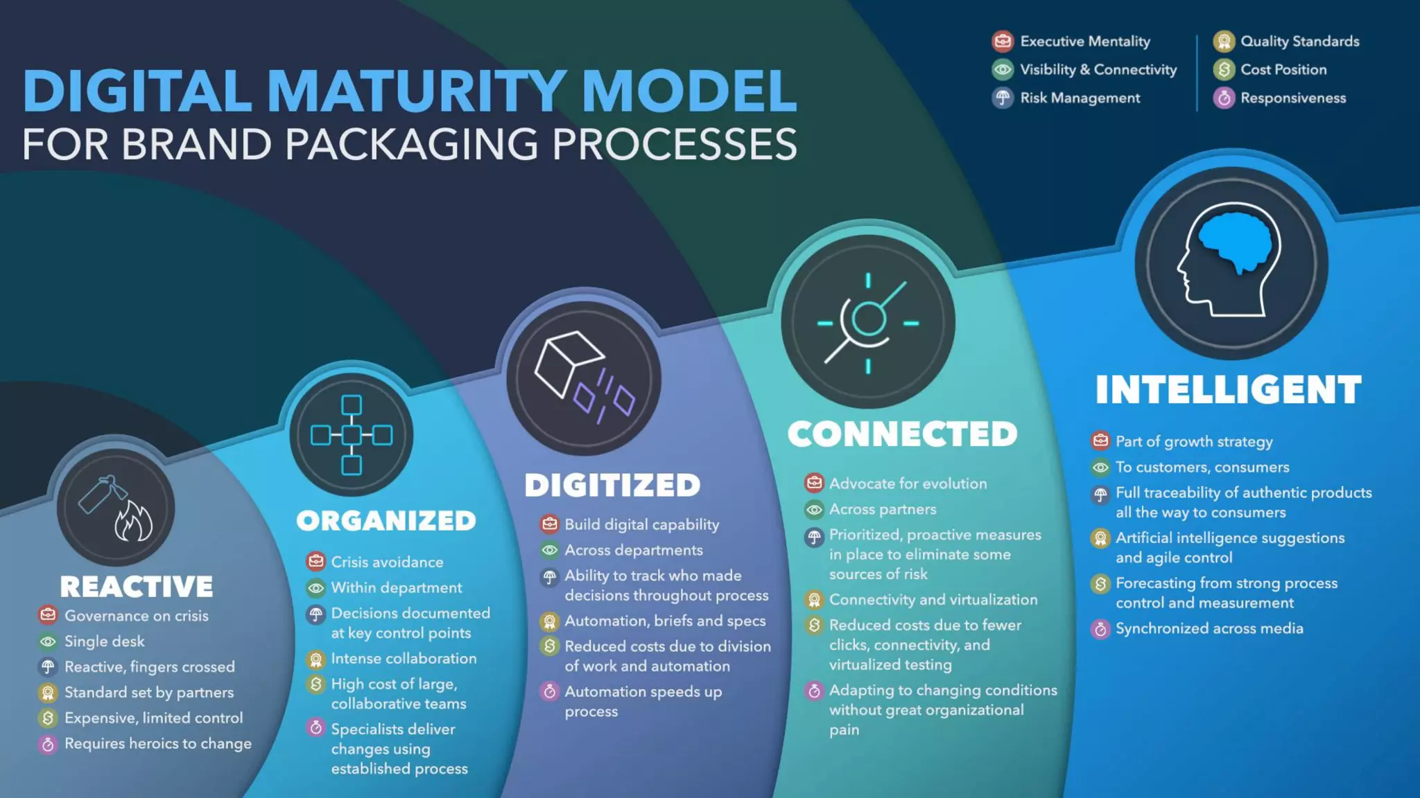 Digital Maturity Model for Brand Packaging | PPT