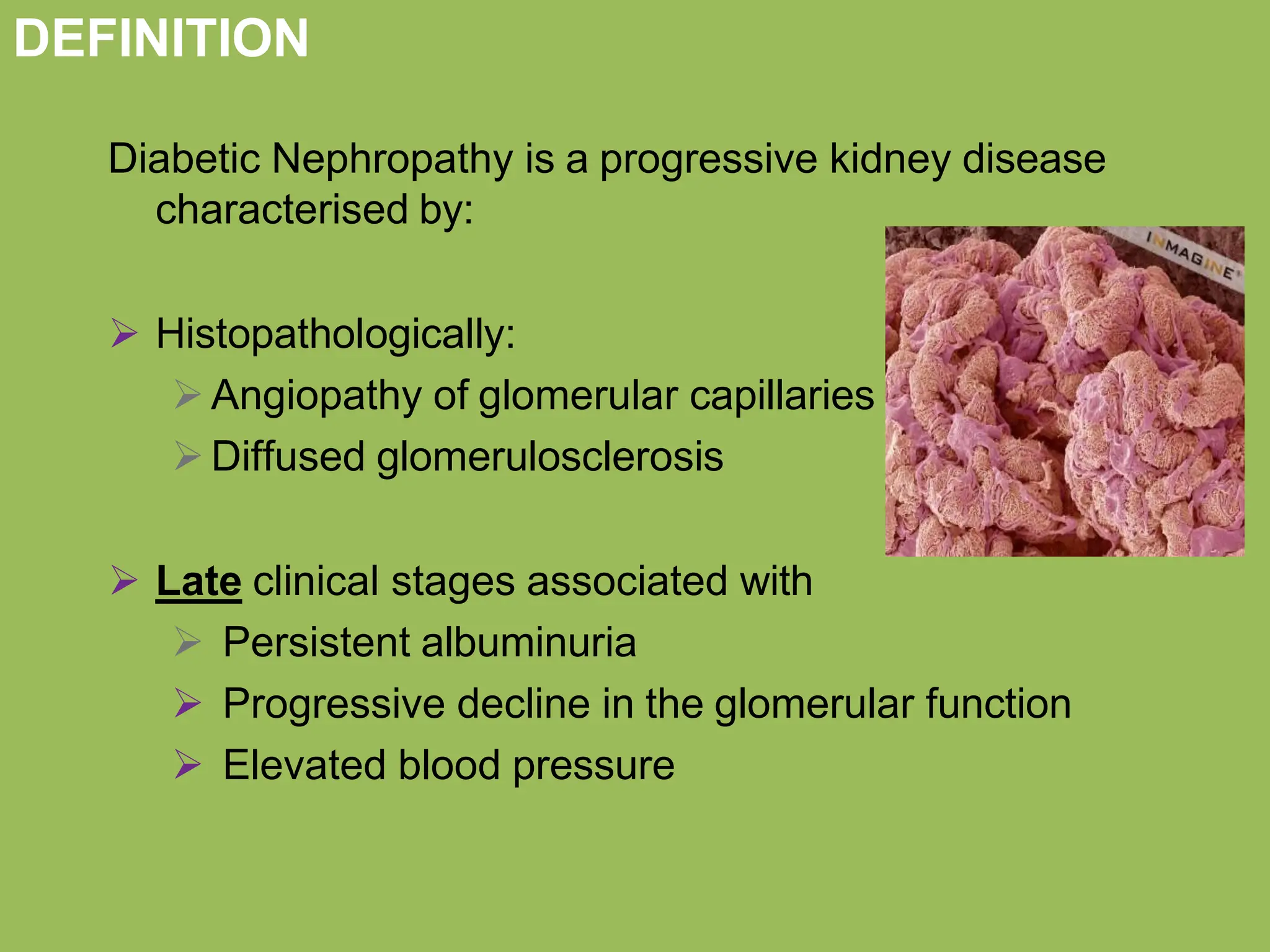 DM NEPHROPATHY.pptx for Critical care nurses | PPT