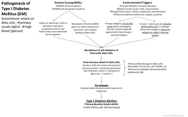 Dm pathogenesis typesiandii