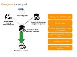 AmberData: Dmp for clients | PDF