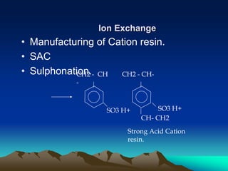 DM PLANT LECTURE.ppt