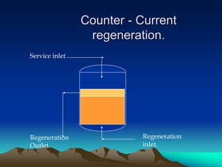 DM PLANT LECTURE.ppt