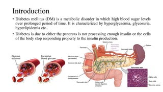 Diabetes Mellitus | PPTX